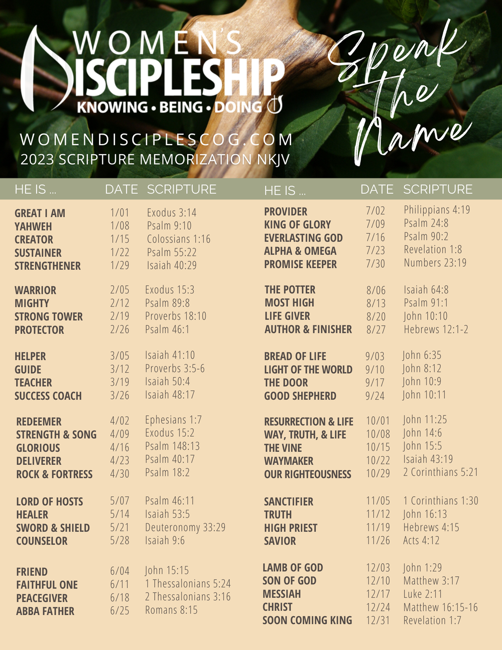 Women's Discipleship — Adult Discipleship
