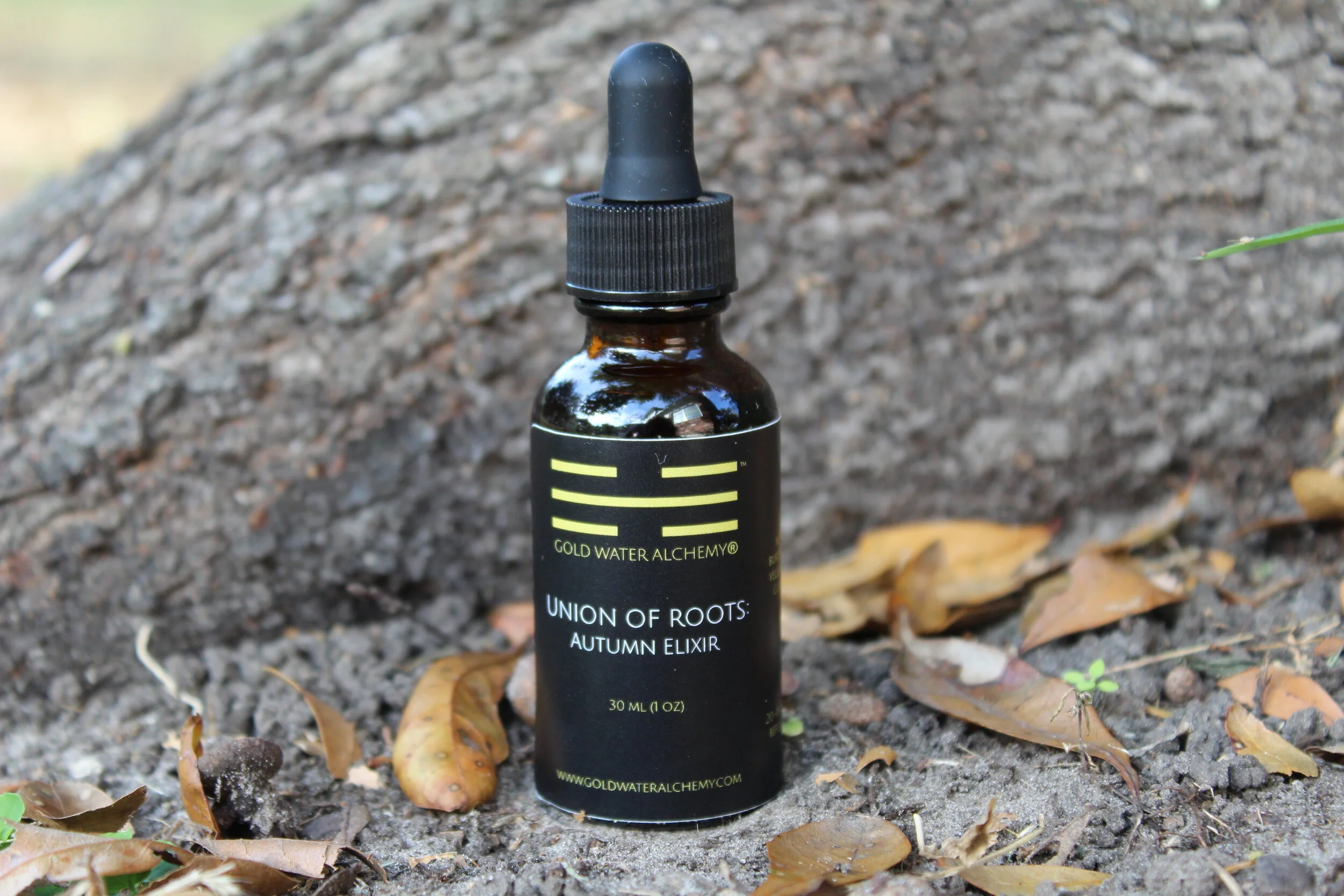 Union of Roots: Autumn Elixir — Gold Water Alchemy