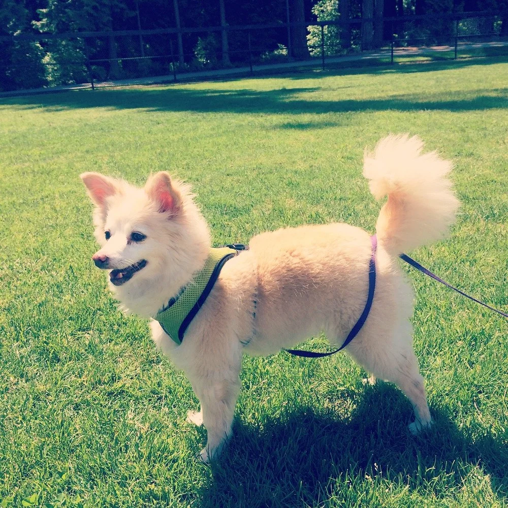 Our Team — Osborne Lab UBC UBC