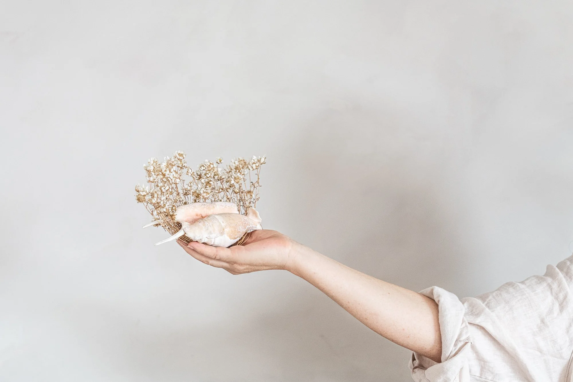 salt creative studio.