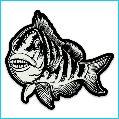 Saltwater Fishing Decals