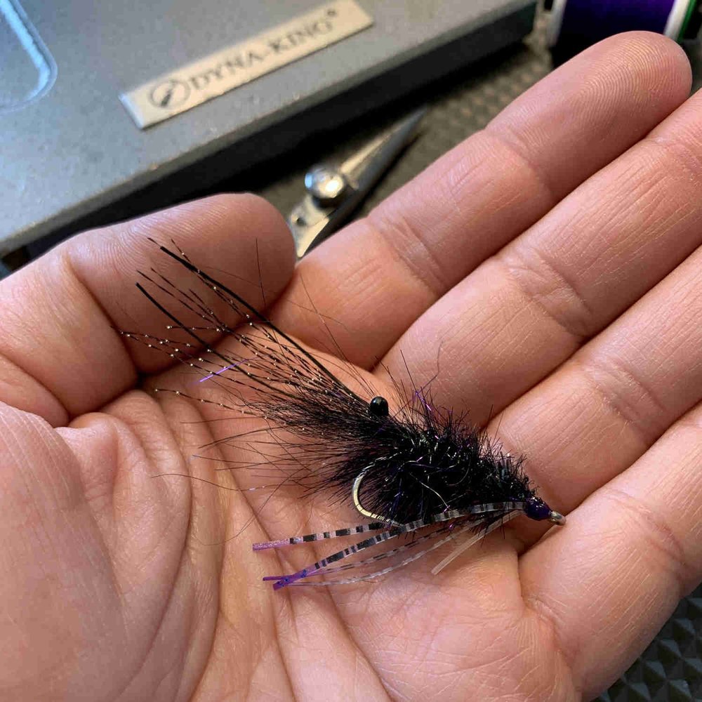 Purple Shrimp