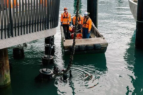 Nice Mussels, Waitematā! — City Rail Link