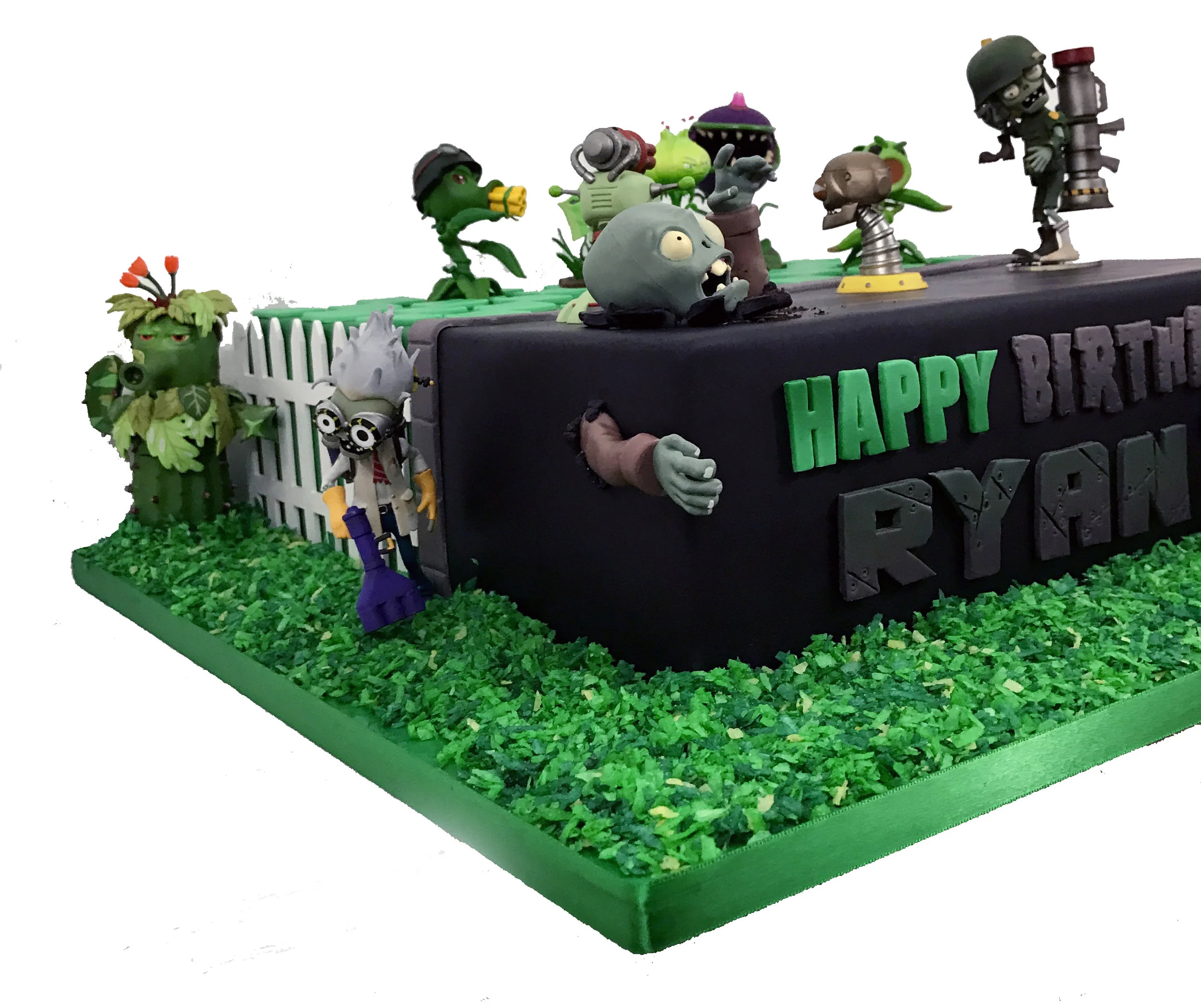 Plants Vs Zombies Childrens Birthday Cakes Plants Vs Zombies Cake