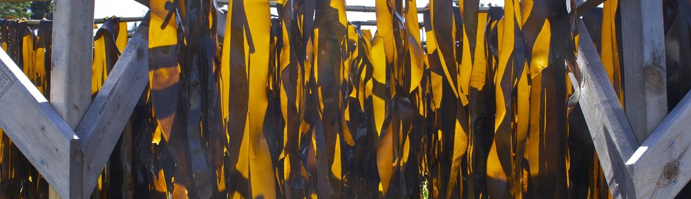 About — Atlantic Holdfast Seaweed Company