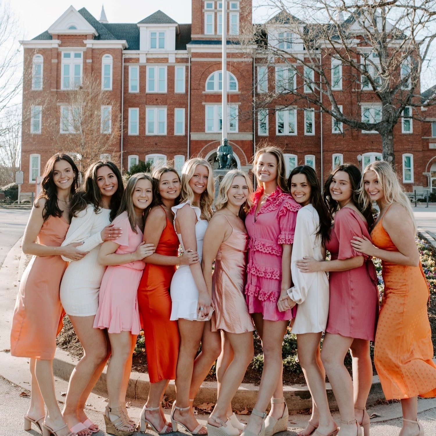 Peer Councils — Clemson Multicultural Greek Council