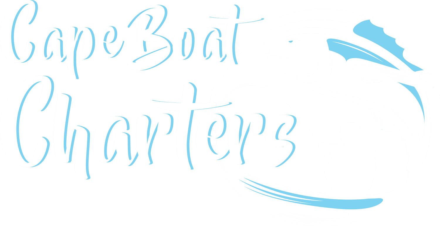 Deep Sea Fishing Cape Town | Cape Boat Charters