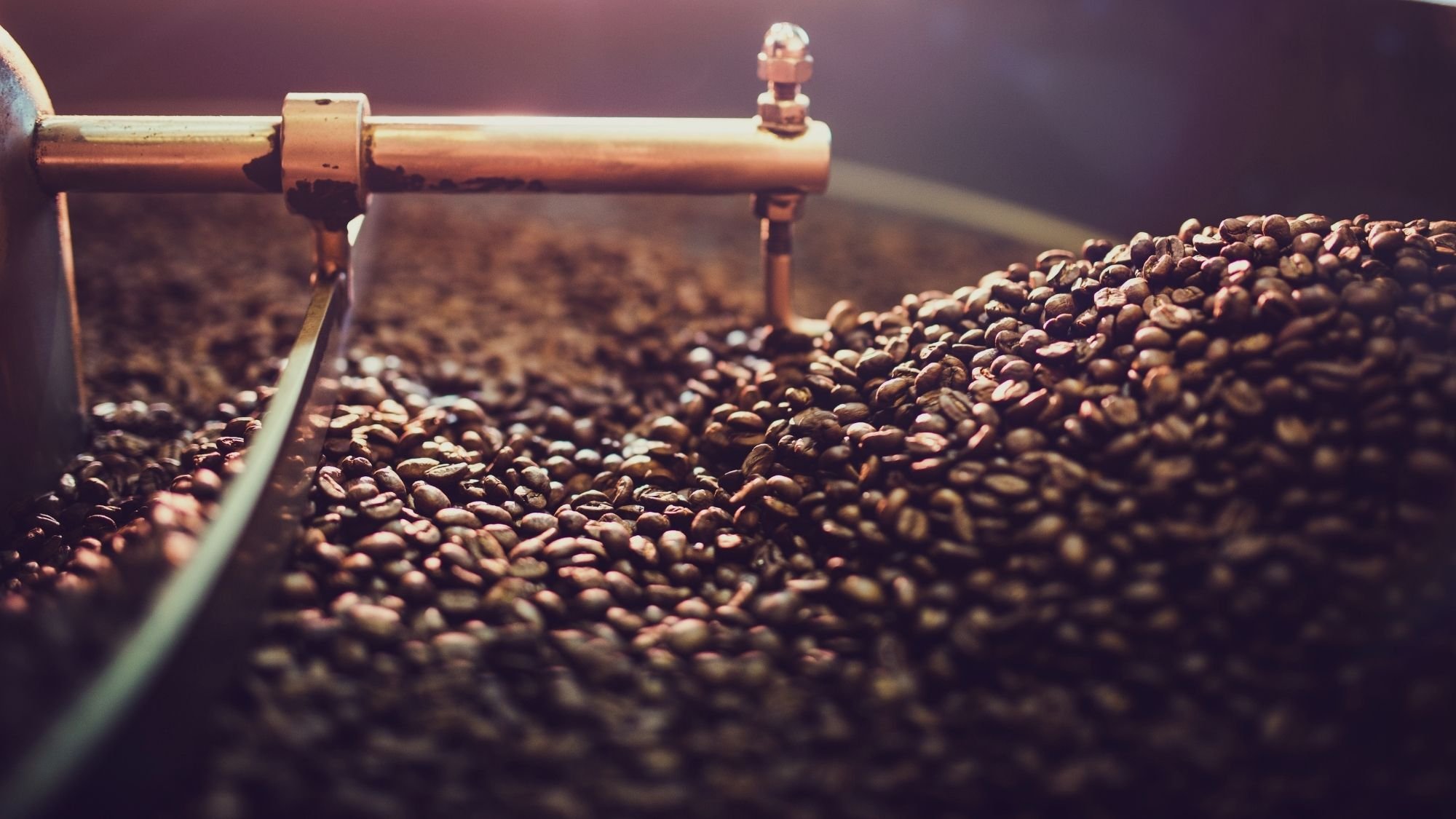 Ra-Ft Cafe' / Bistro—Shop