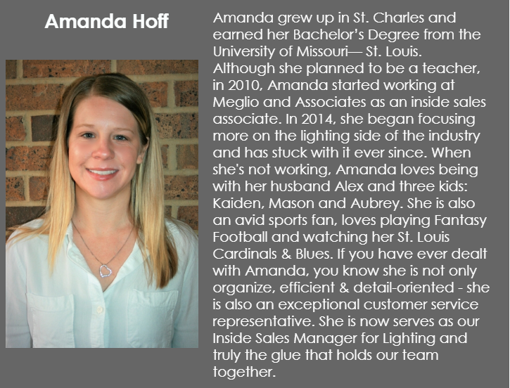 Newsletters — Meglio and Associates