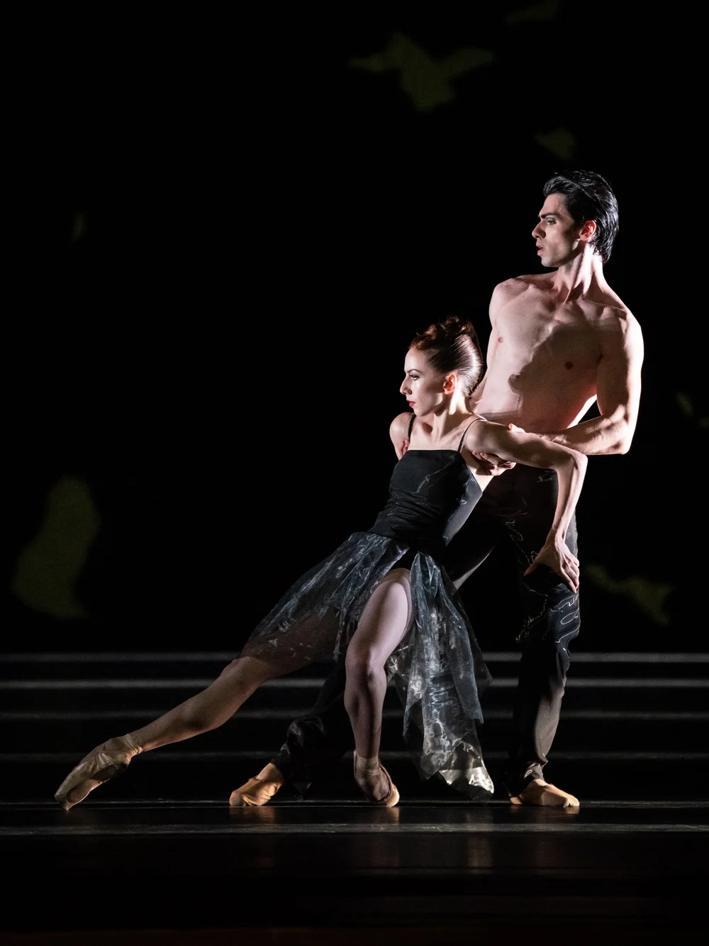 Dances - Pictures - Symphonies (Tänze Bilder Sinfonien): Vienna State ...
