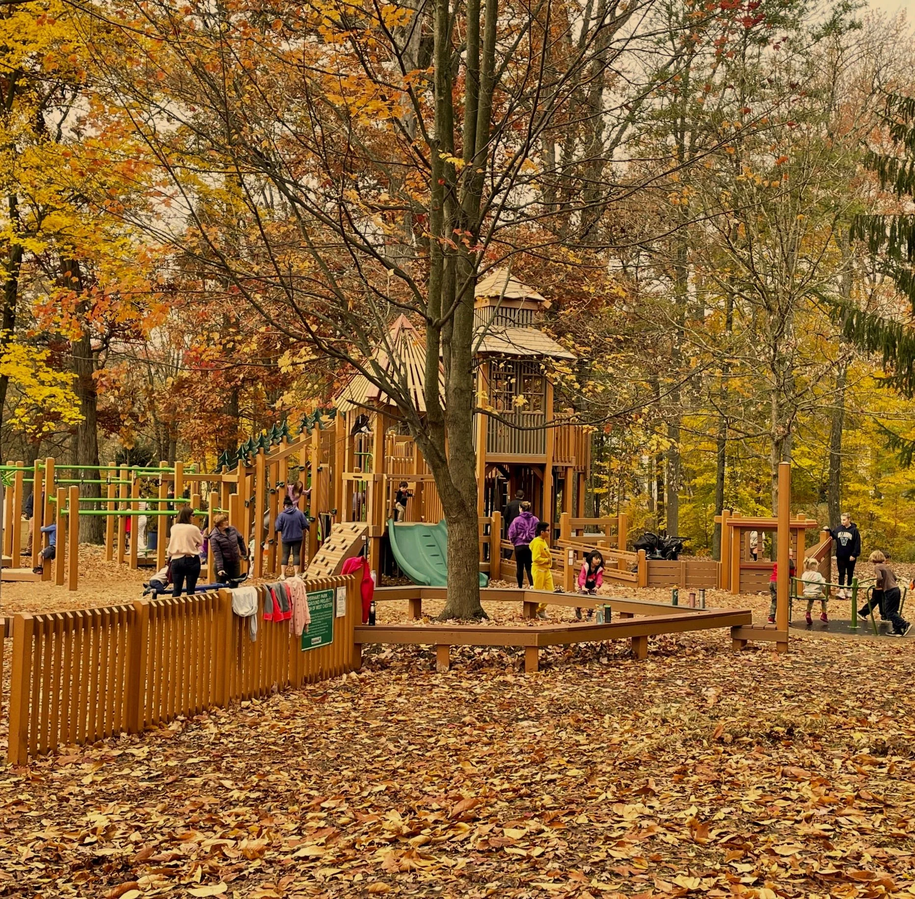 Friends of Everhart Park