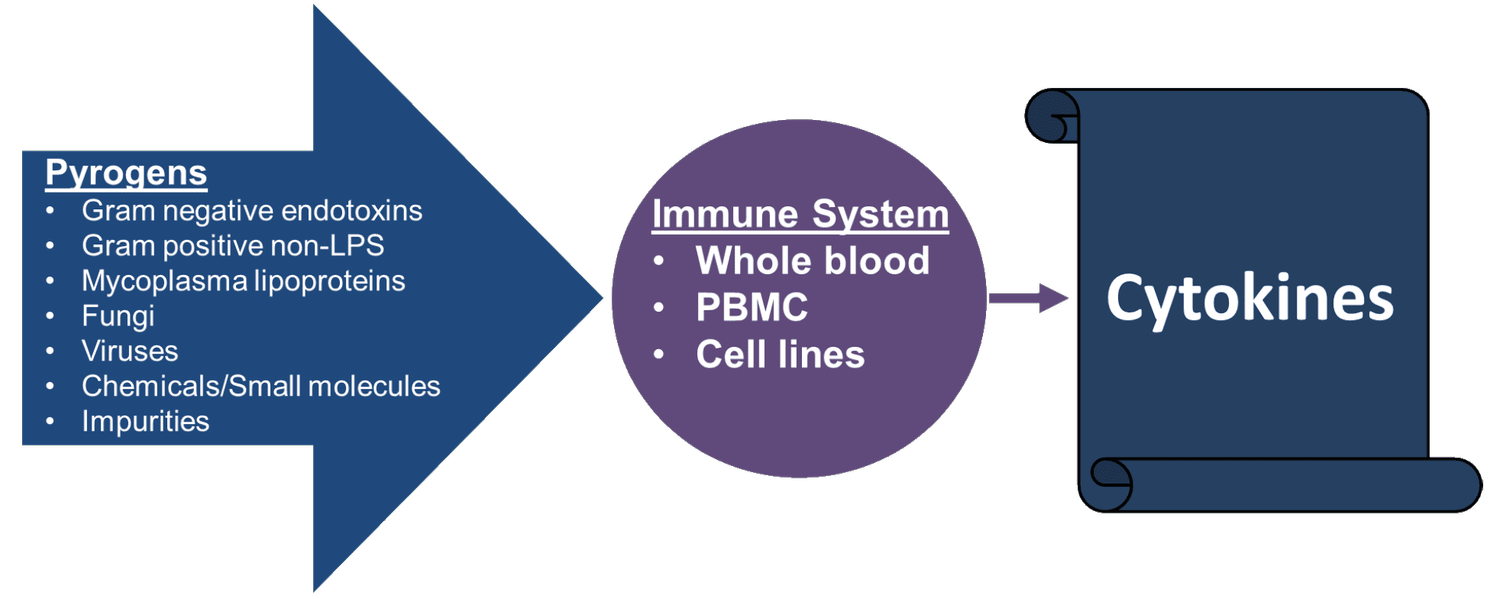 The Monocyte Activation Test (MAT): A relevant alternative to the ...
