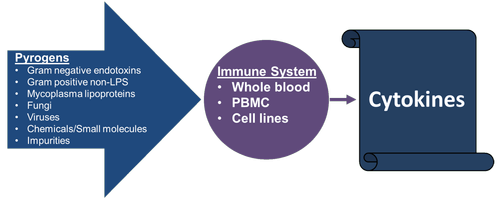 The Monocyte Activation Test (MAT): A relevant alternative to the ...