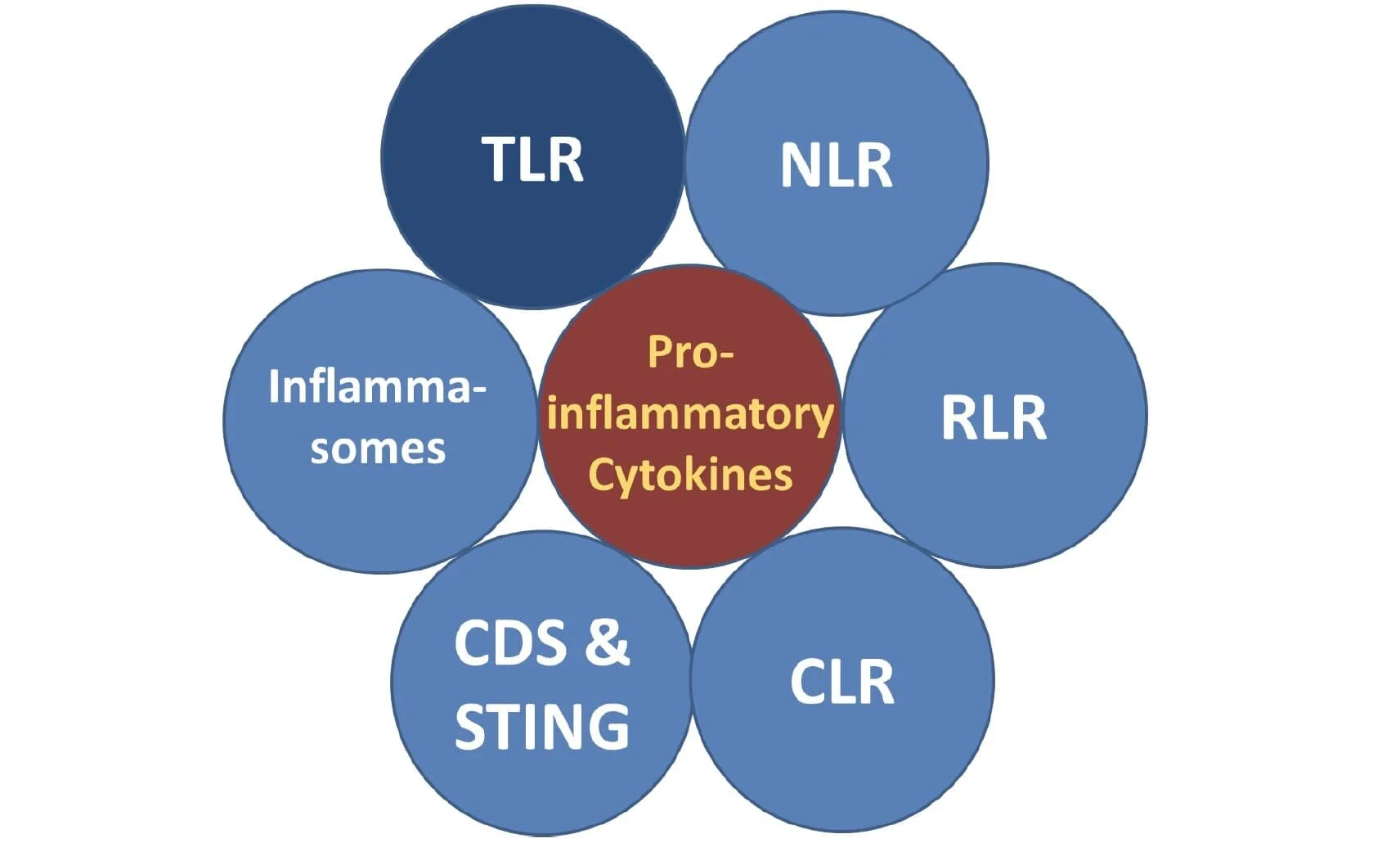 Monocyte Activation Testing for Successful Clinical Trials — PyroDex ...