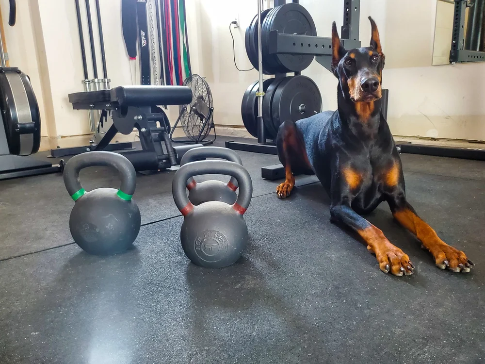 Five Best Kettlebell Complexes — Day1Strength
