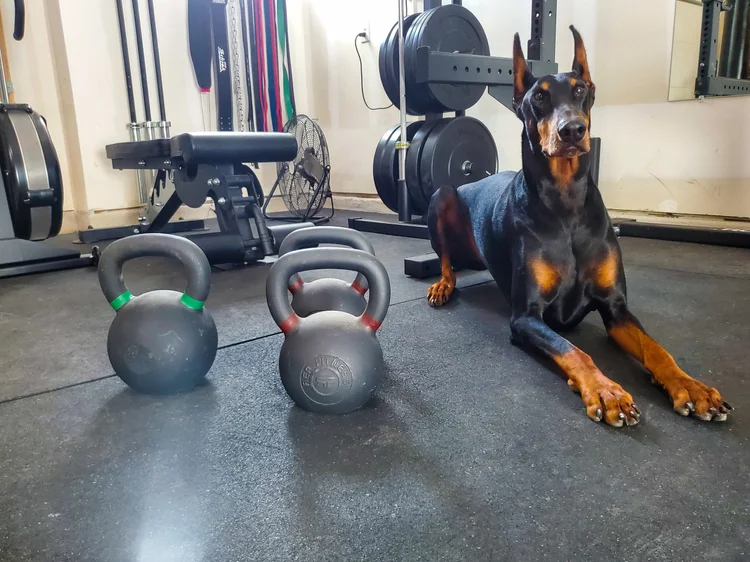Five Best Kettlebell Complexes — Day1Strength