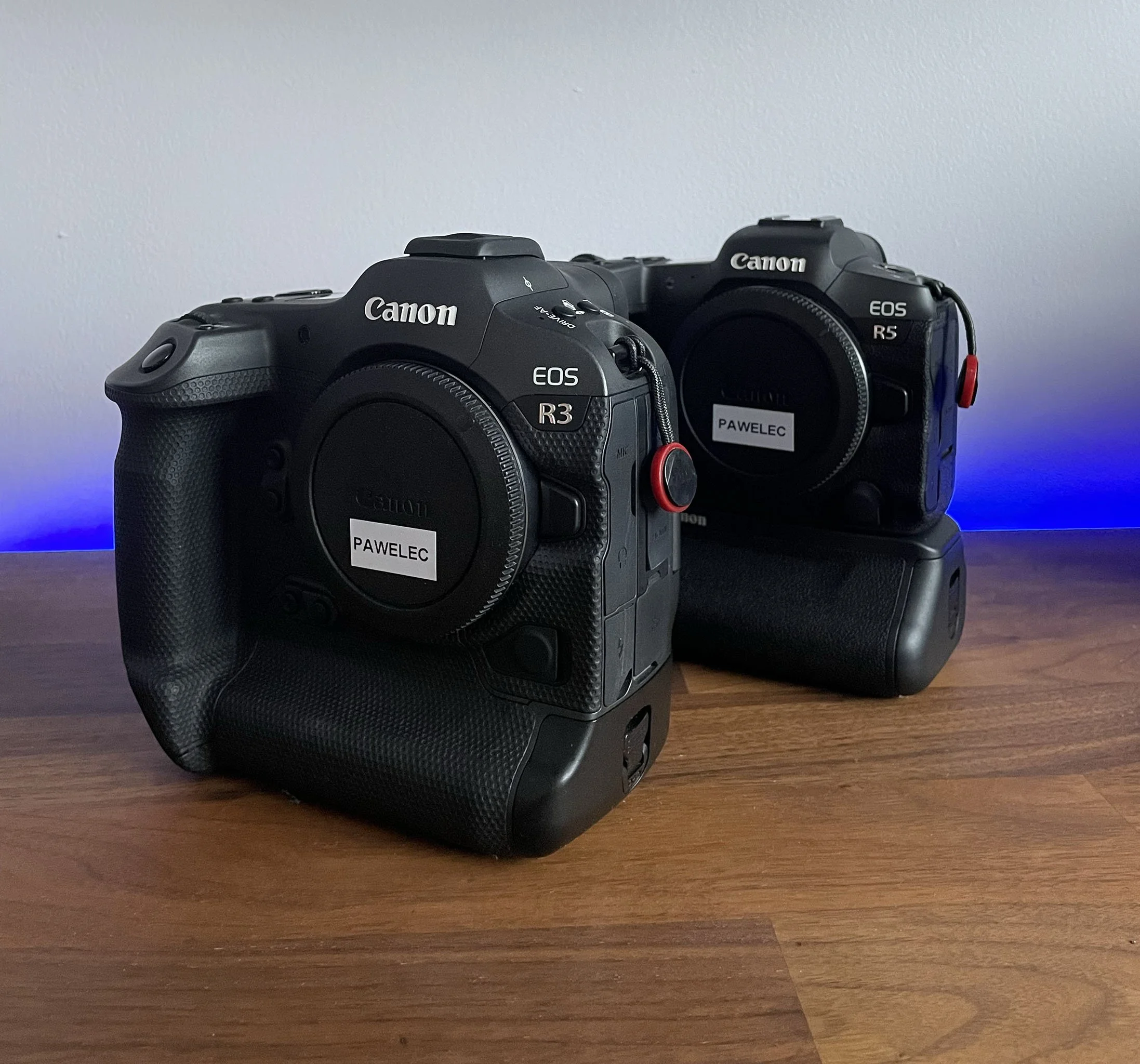 Canon EOS R1 vs. R5 Mark II: A Pro User's Perspective — PAWELECphoto ...