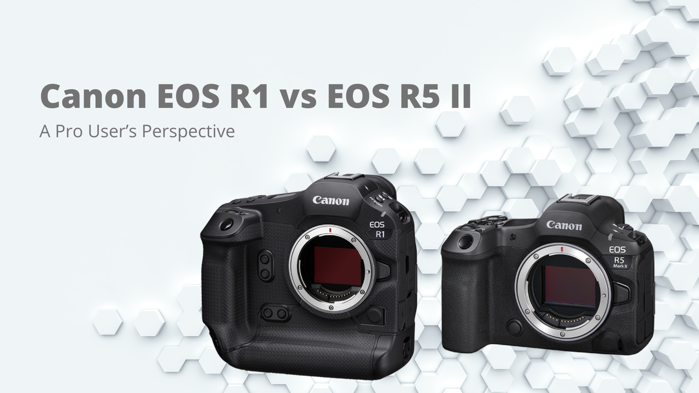 Canon EOS R1 vs. R5 Mark II: A Pro User's Perspective — PAWELECphoto ...