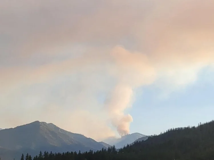 2024 Wildfire Updates — Klamath-Siskiyou Wildlands Center