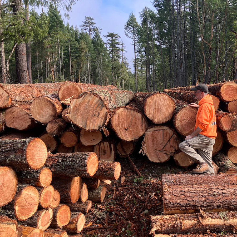 BLM's latest old-growth timber sale: Last Chance — Klamath-Siskiyou ...