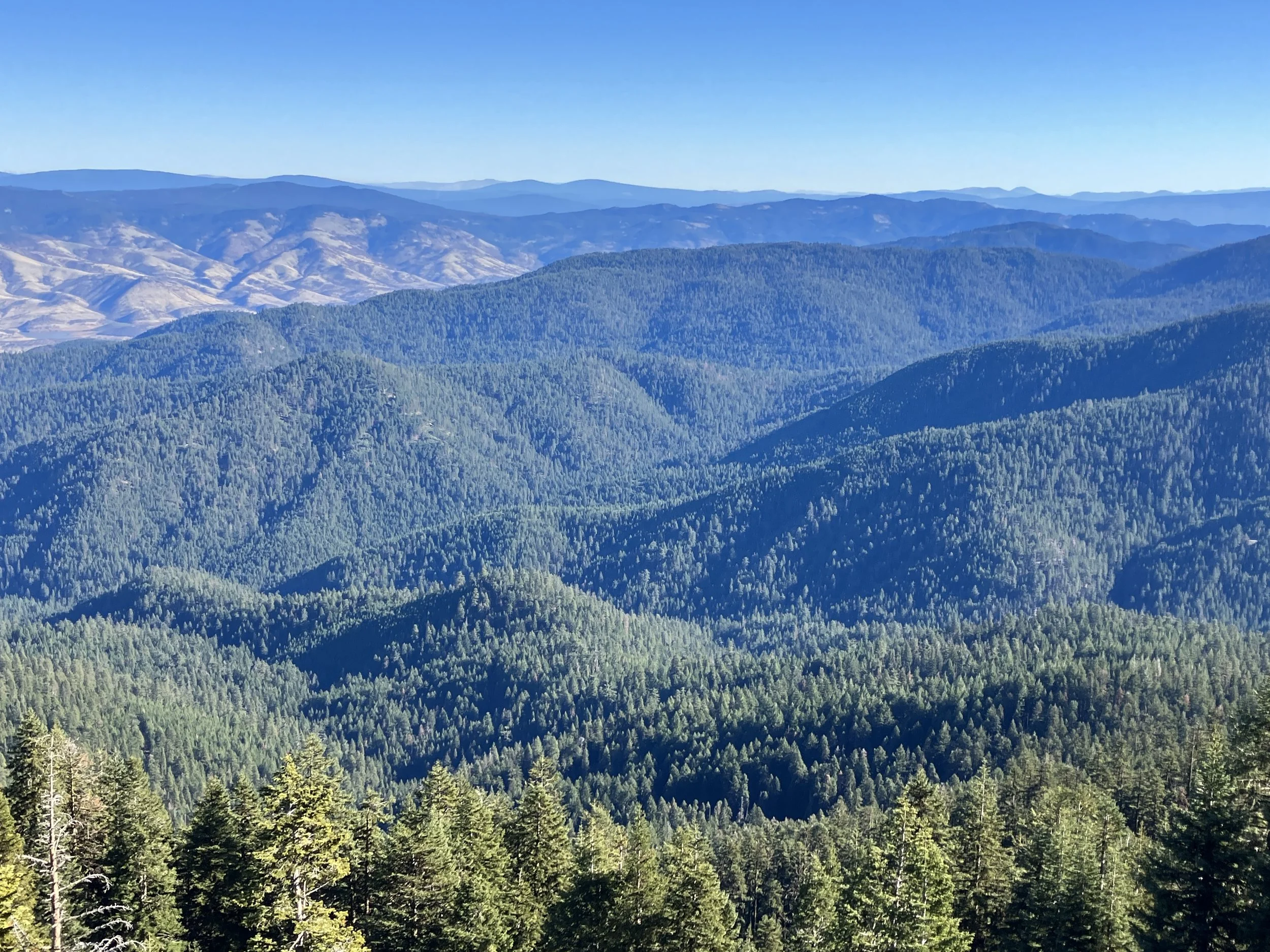 Klamath-Siskiyou Wildlands Center