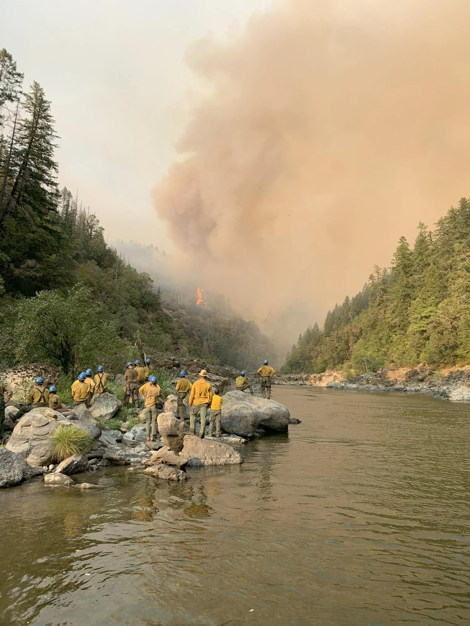 Moon Complex Fire Impacts on Rogue River — Klamath-Siskiyou Wildlands ...