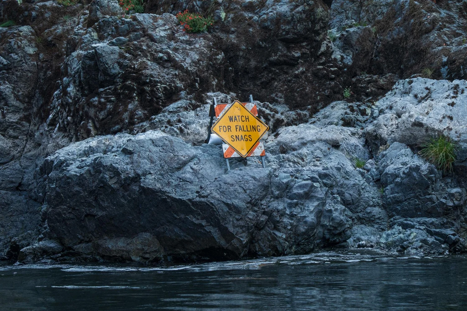 Moon Complex Fire Impacts on Rogue River — Klamath-Siskiyou Wildlands ...