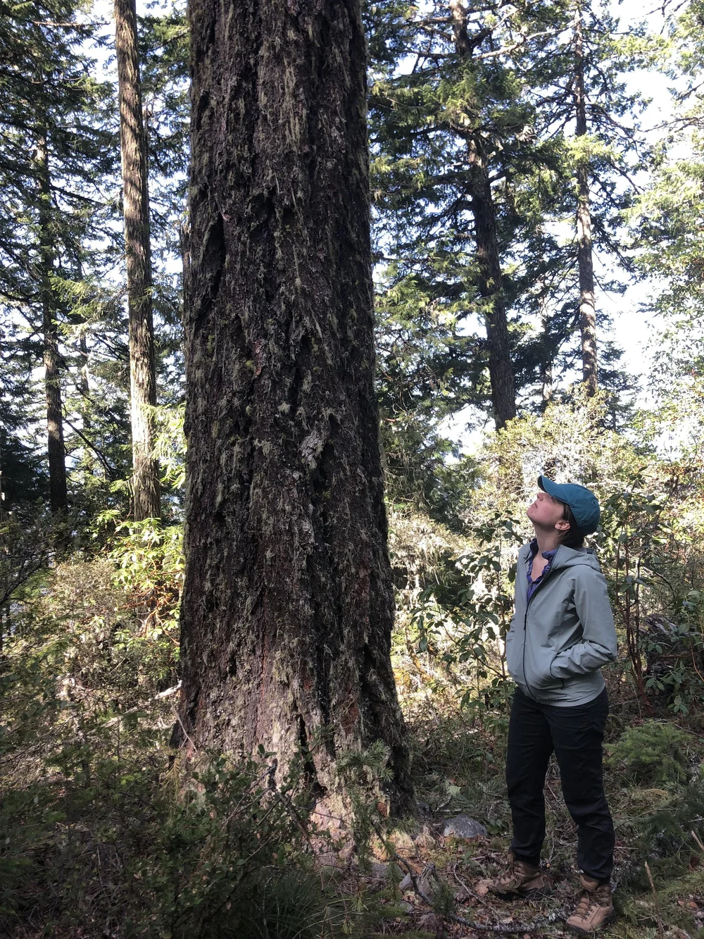 Klamath-Siskiyou Wildlands Center