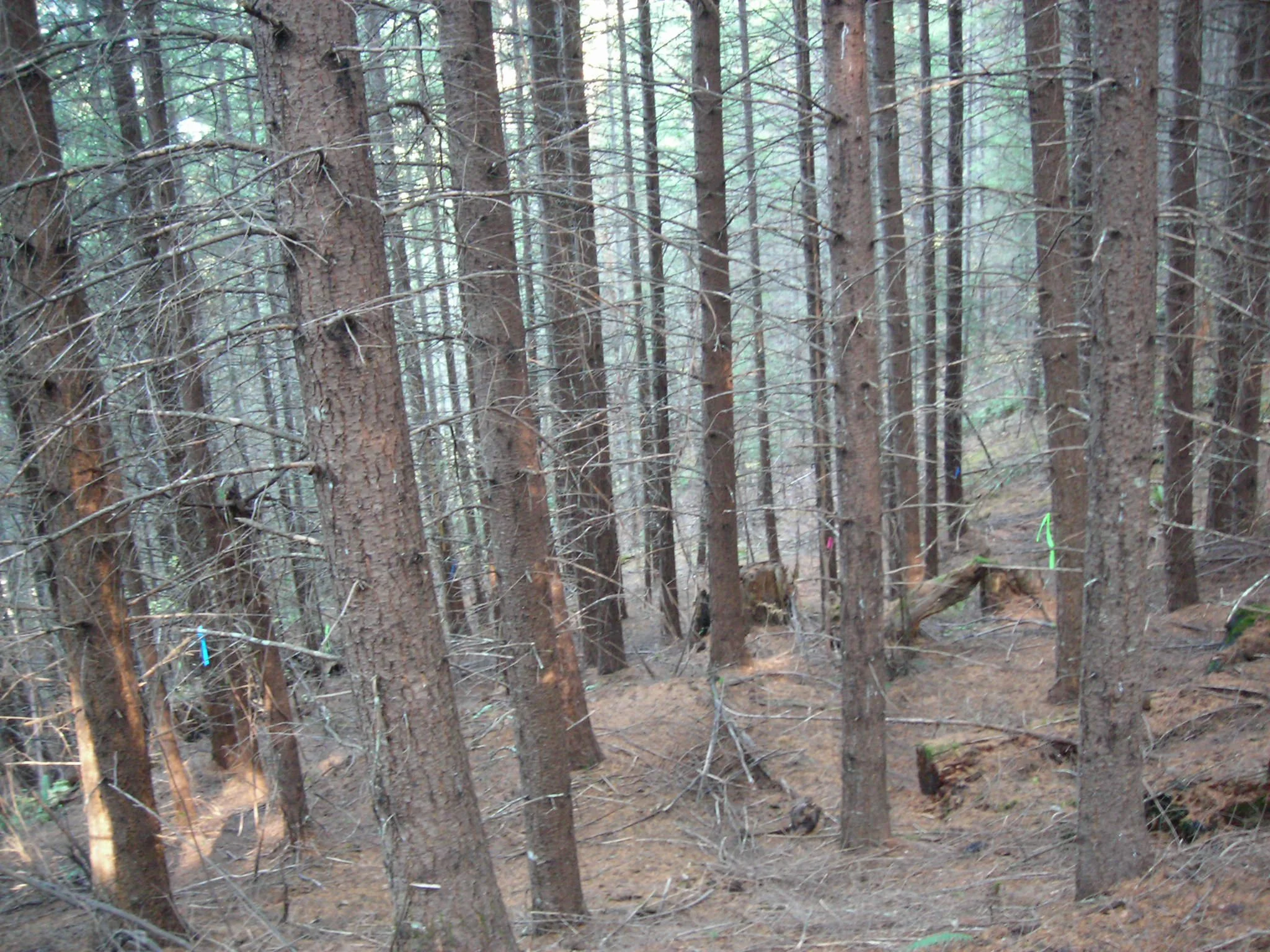 Klamath-Siskiyou Wildlands Center