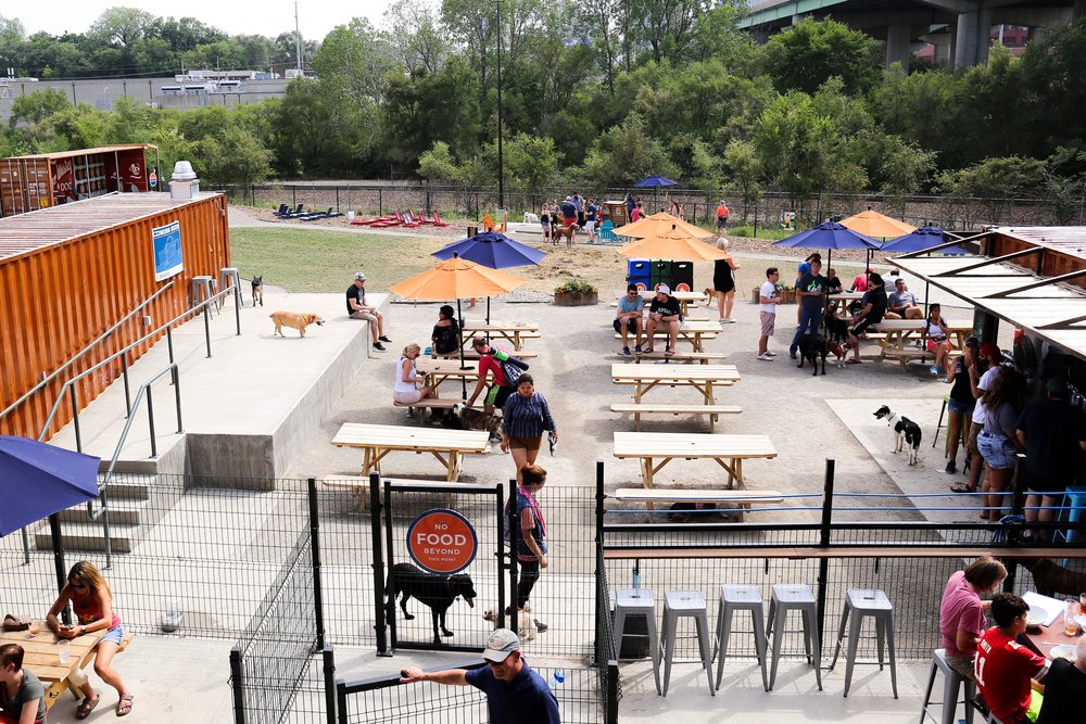 The Canine Capital of Kansas City: Bar K Dog Bar — MIKCexplore