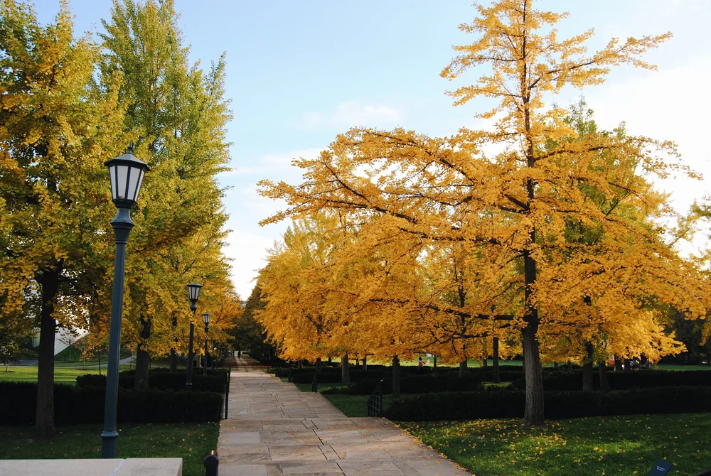 Best Spots for Fall Foliage in Kansas City — MIKCexplore