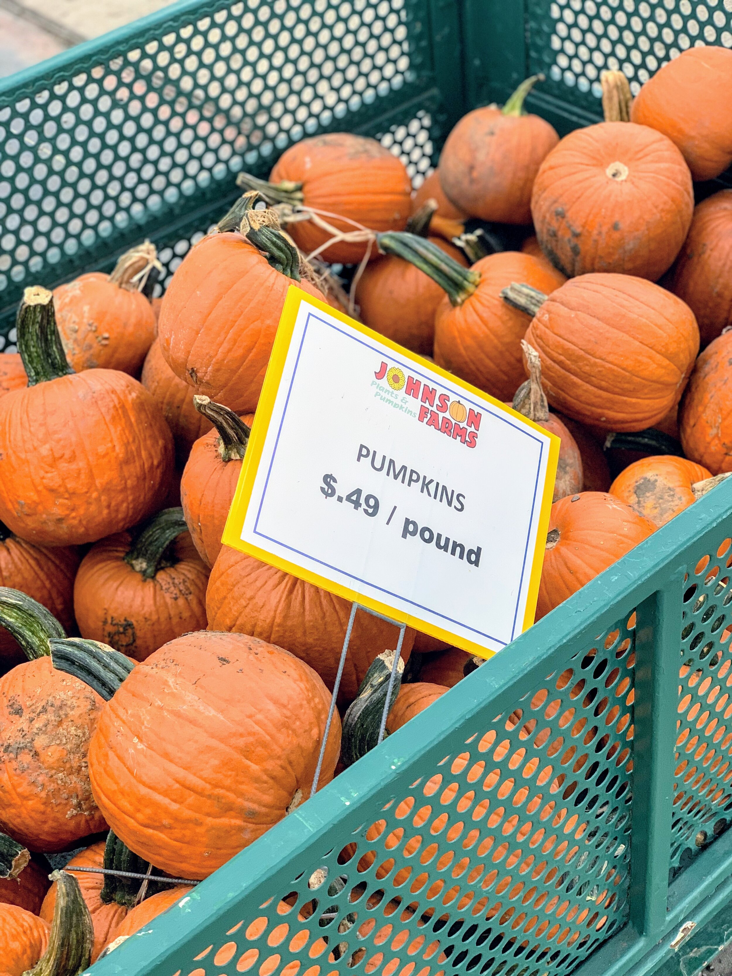 Johnson Farms Plants & Pumpkins — MIKCexplore