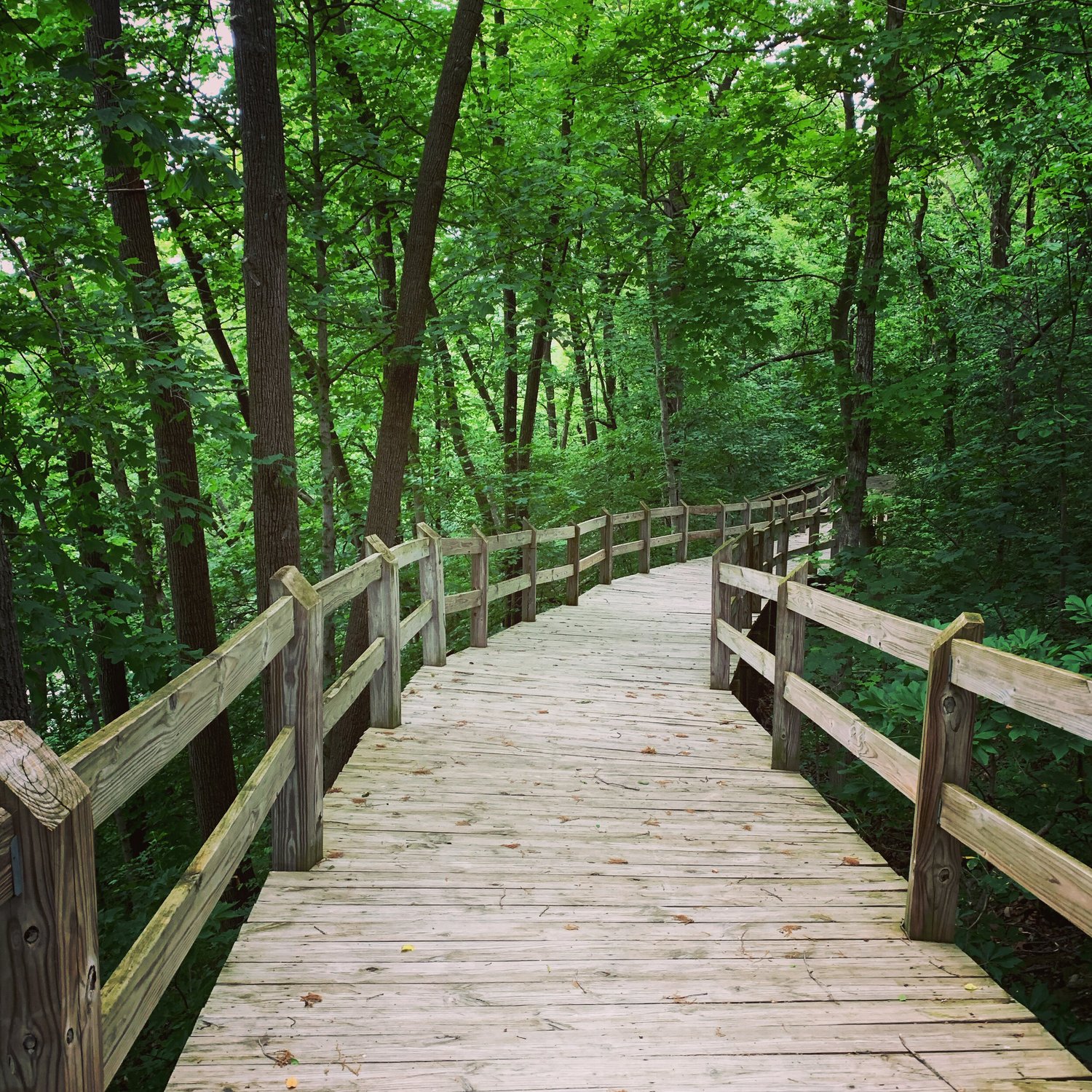 Guide: Excelsior Springs — MIKCexplore