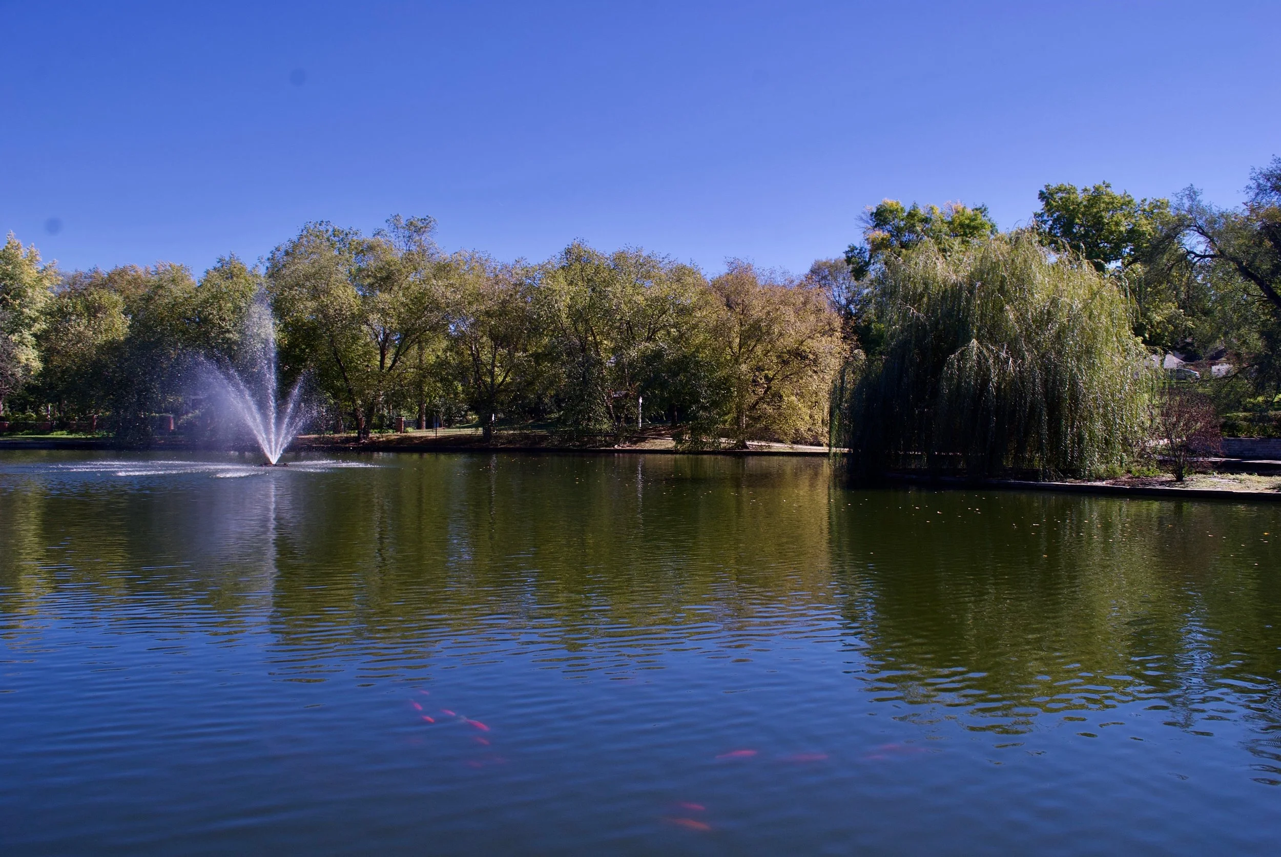 Loose Park: Kansas City’s Green Jewel — MIKCexplore