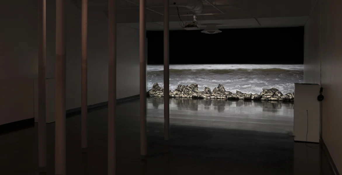 Littoral Landscape — Tracy Peters