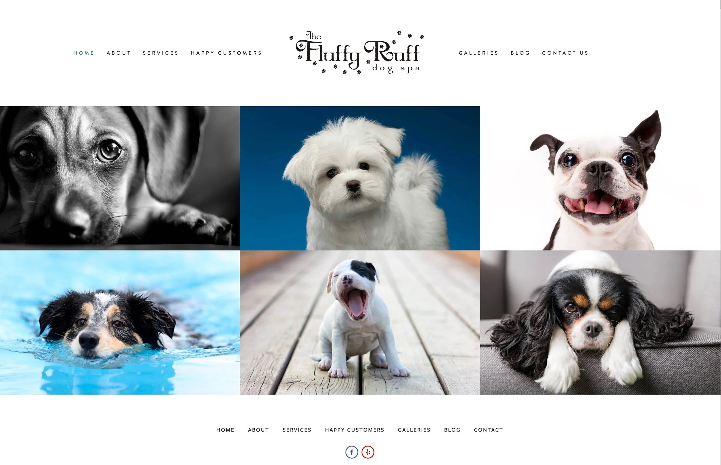 Dog Spa Website
