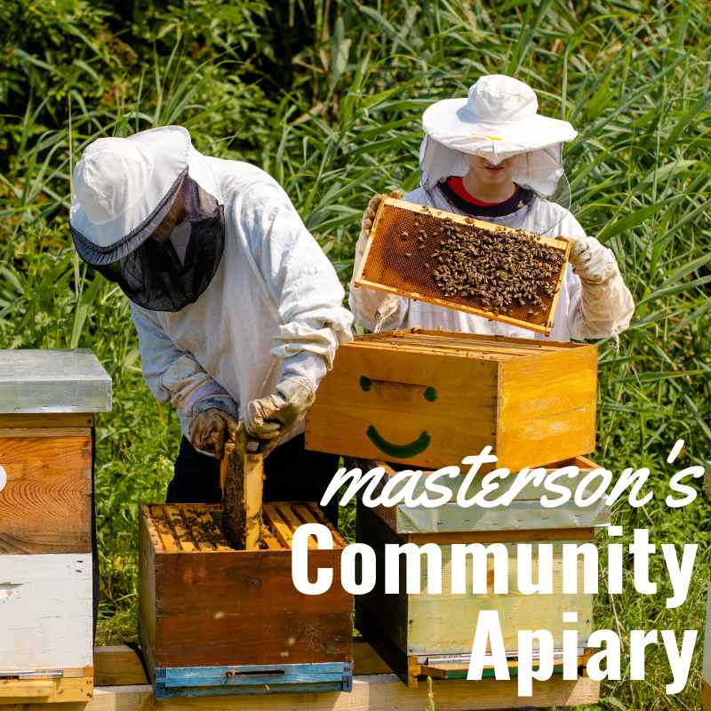 Backyard Beekeeping — Masterson's Garden Center, Inc.