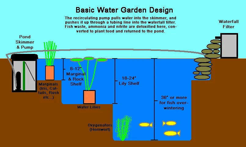 Site Selection & Design — Masterson's Garden Center, Inc.