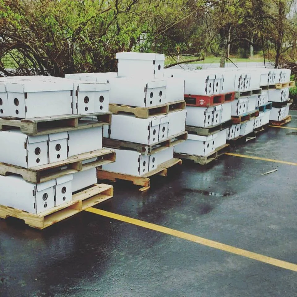 Honeybee Pick-up Day: What to Expect — Masterson's Garden Center, Inc.