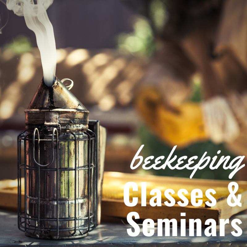 Backyard Beekeeping — Masterson's Garden Center, Inc.