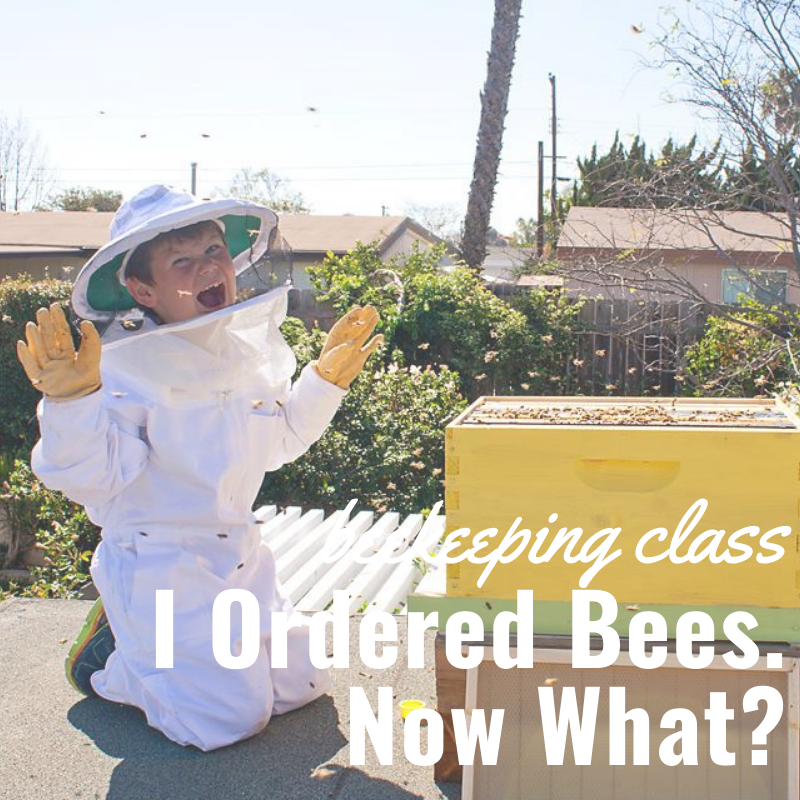 Events + Classes — Masterson's Garden Center, Inc.