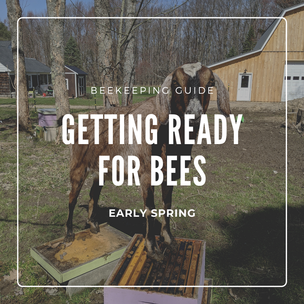 Online Beekeeping Information — Masterson's Garden Center, Inc.