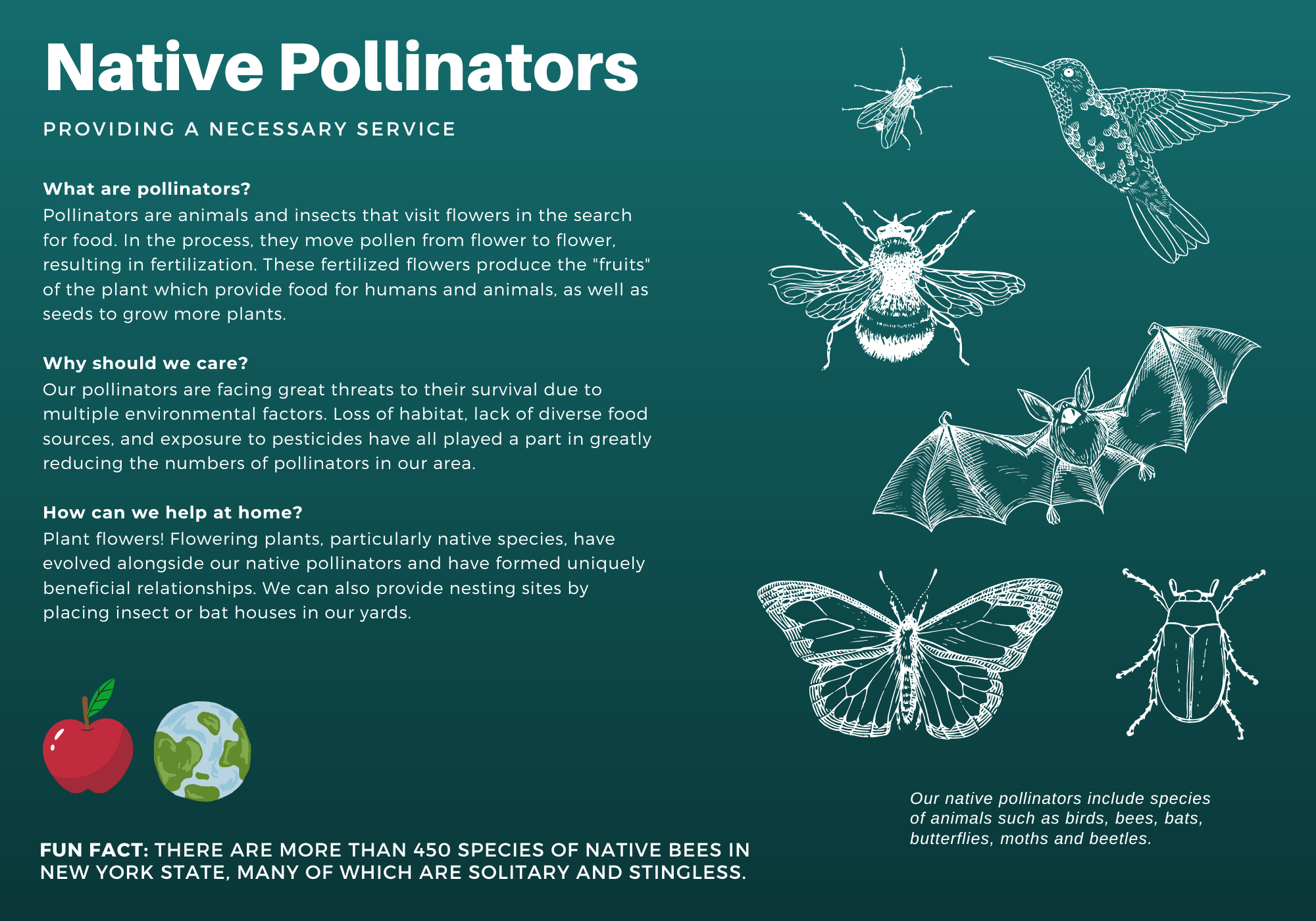 Native Pollinators — Masterson's Garden Center, Inc.
