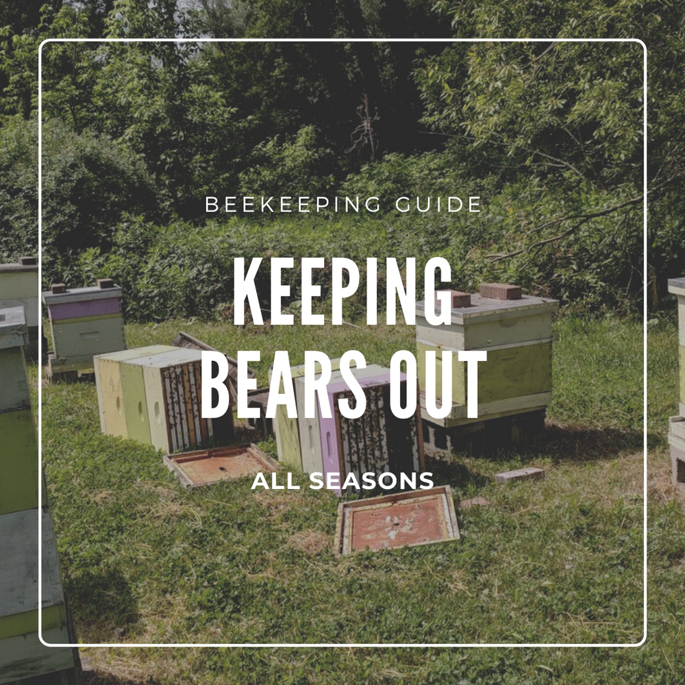 Online Beekeeping Information — Masterson's Garden Center, Inc.