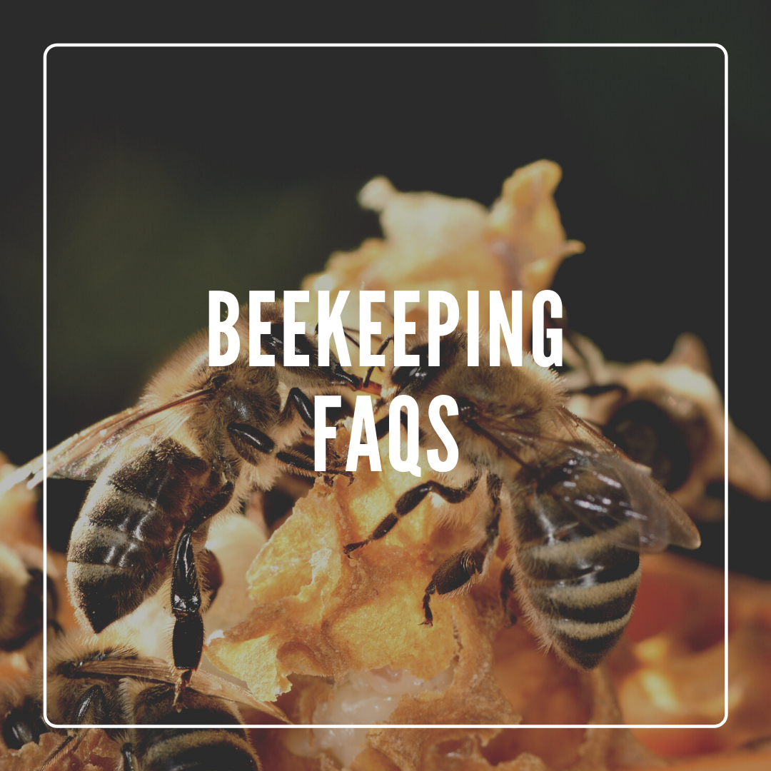 Online Beekeeping Information — Masterson's Garden Center, Inc.