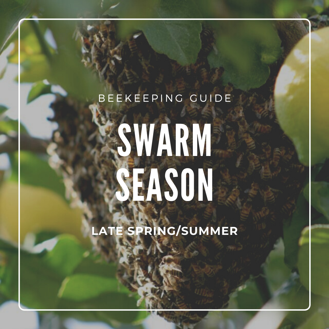 Online Beekeeping Information — Masterson's Garden Center, Inc.