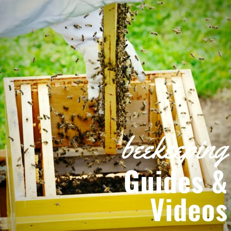 Backyard Beekeeping — Masterson's Garden Center, Inc.