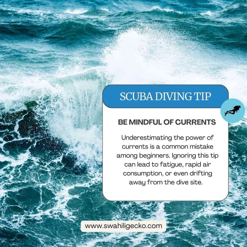 23 Best Scuba Diving Tips For Beginners: Ultimate Guide to Scuba Diving ...