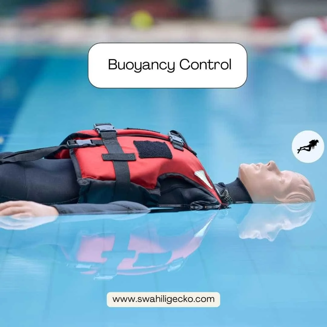 23 Best Scuba Diving Tips For Beginners: Ultimate Guide to Scuba Diving ...