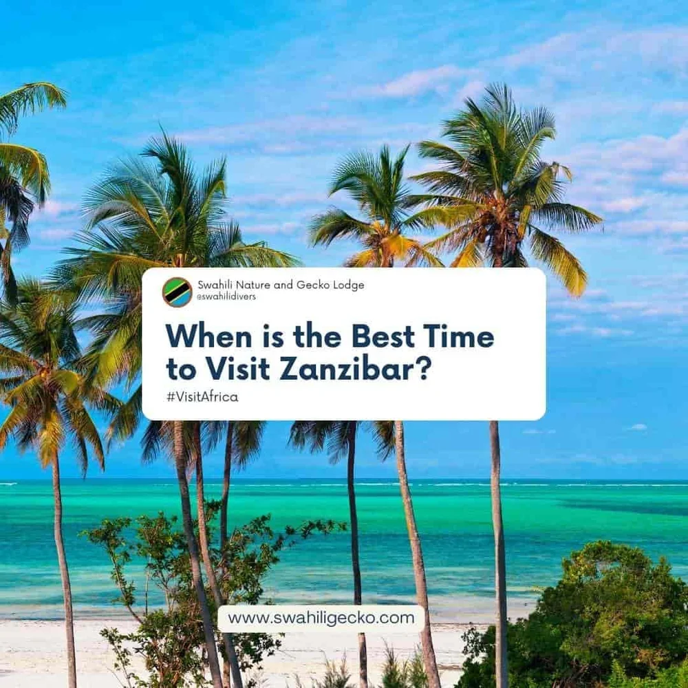 When is the Best Time to Visit Zanzibar? — Swahili Divers